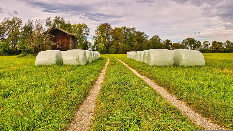 Silage Wrap Prices - SilageGuru